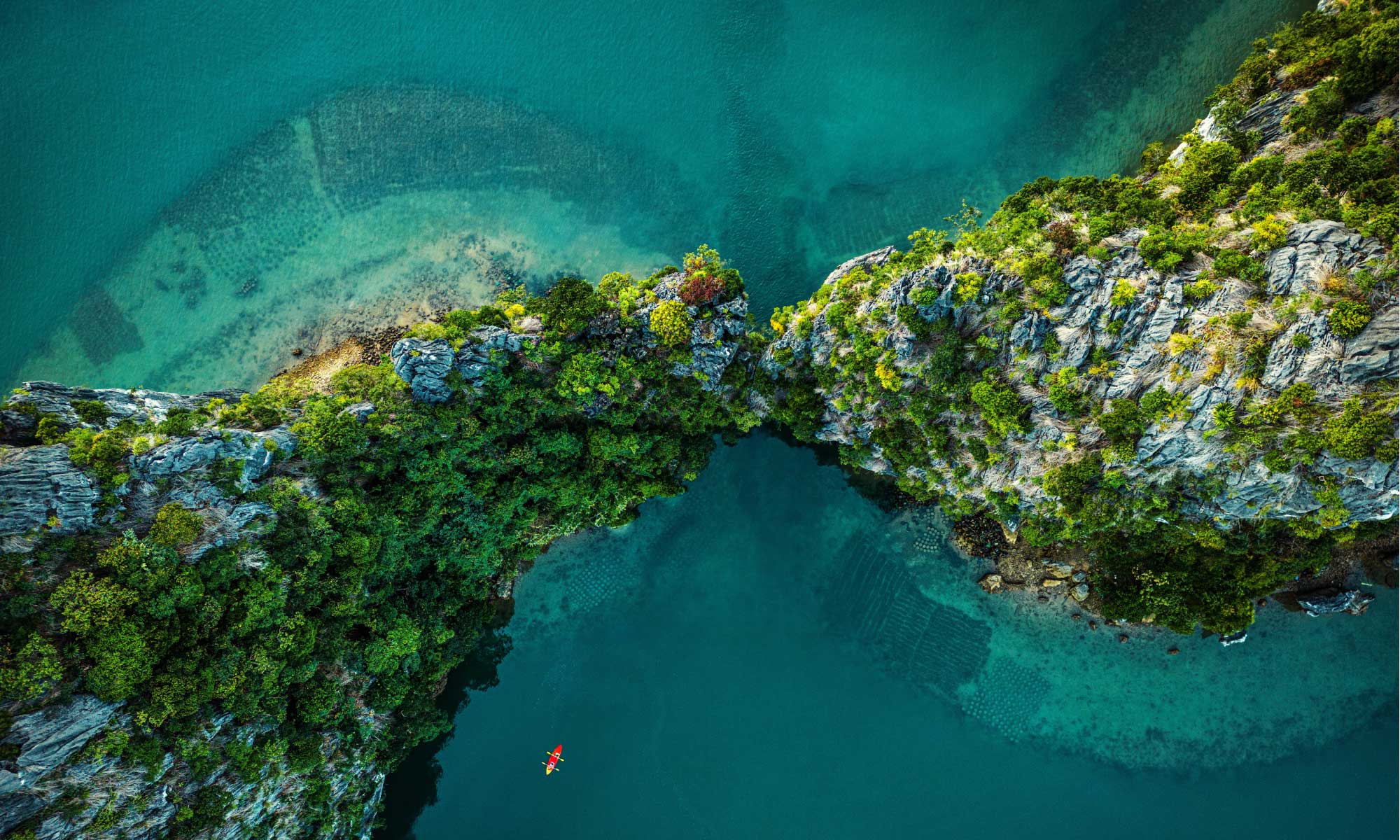 K2’s Immigration Service transforms into K2 X Border - K2 Corporate ...